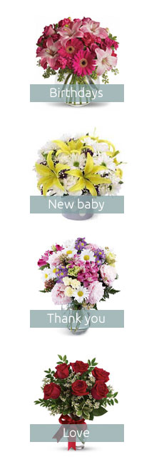 Flowers Ashburn Va 🏵️ Dec 2025