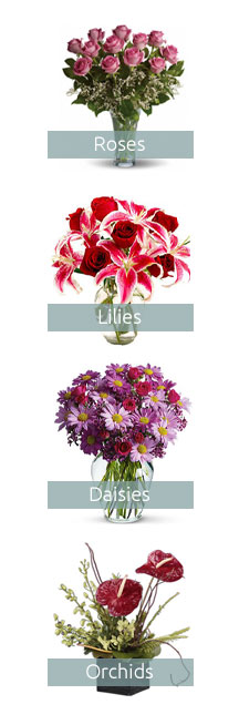 Flowers Ashburn Va 🏵️ Dec 2025